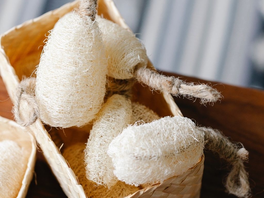 What is a loofah and why is it good for the skin? Discover it here